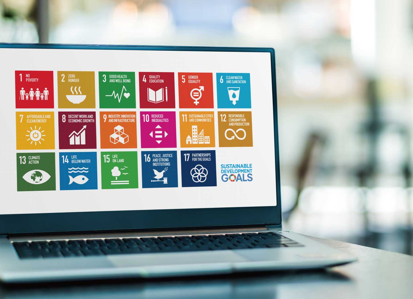 SDGsのアップデート - コンサル＆ファーム株式会社